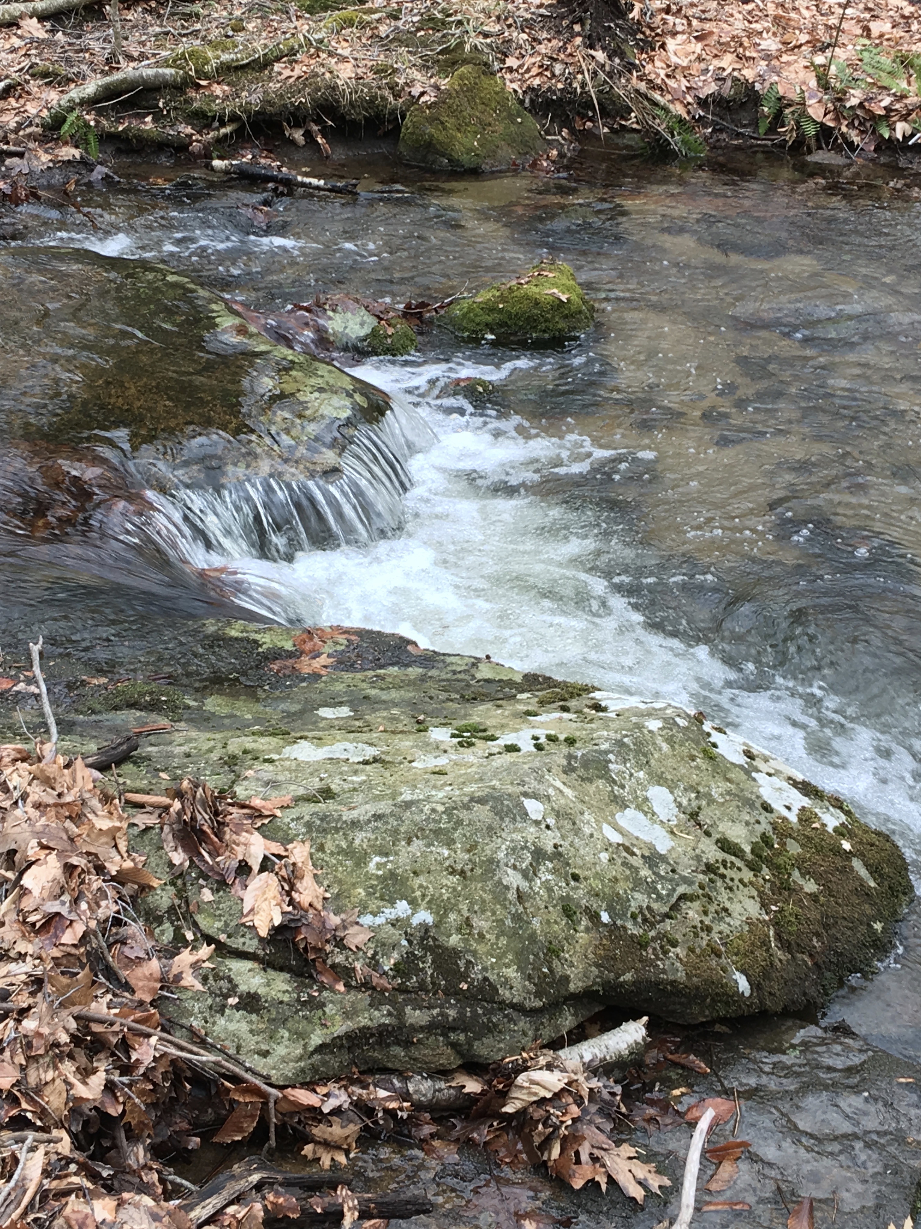 Events - Norwalk River Watershed Association