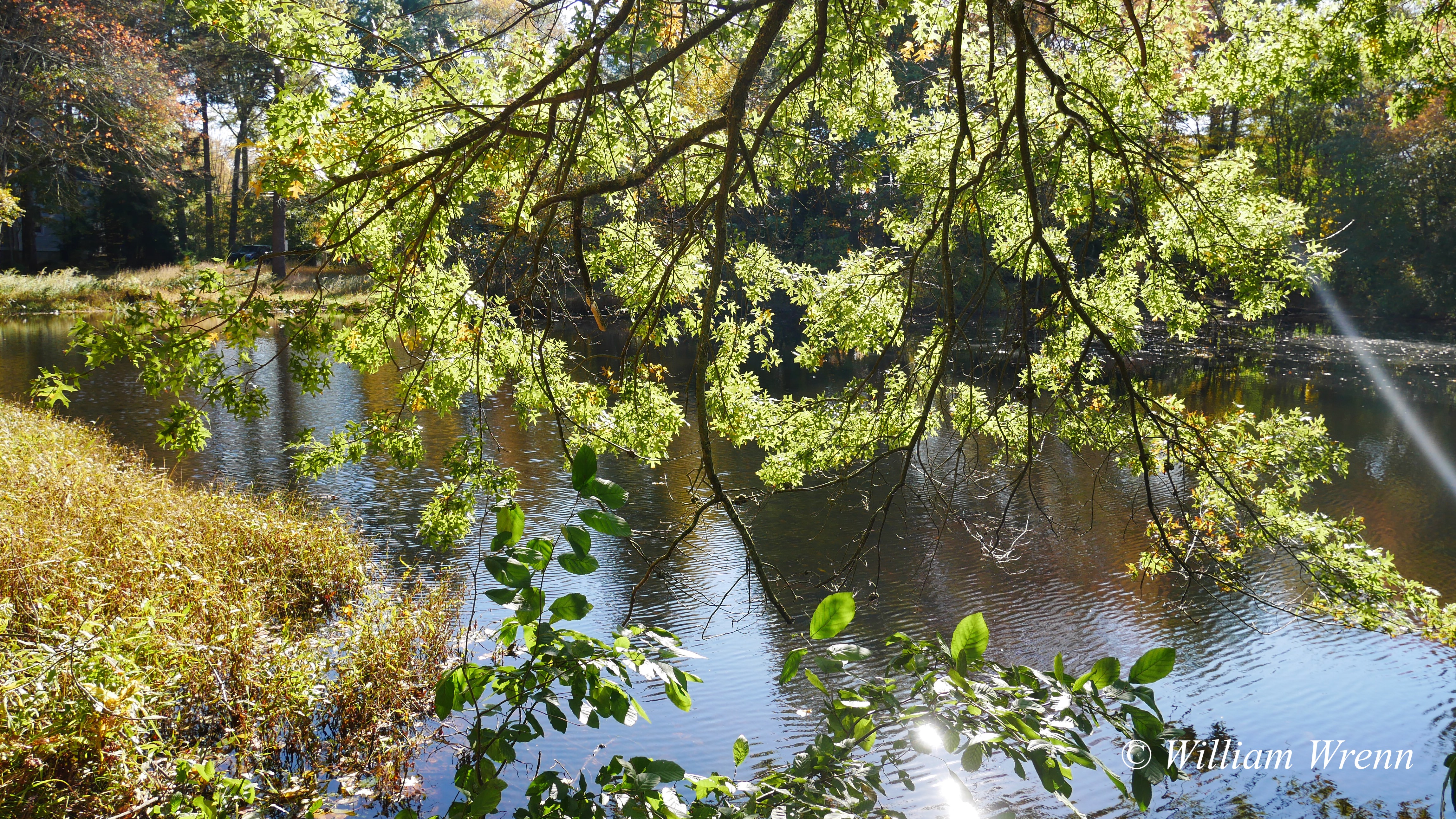 Events - Norwalk River Watershed Association